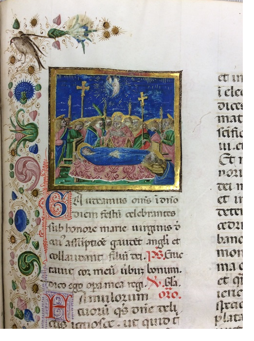 Archivio Diocesano Modena Nonantola - Scopri le miniature